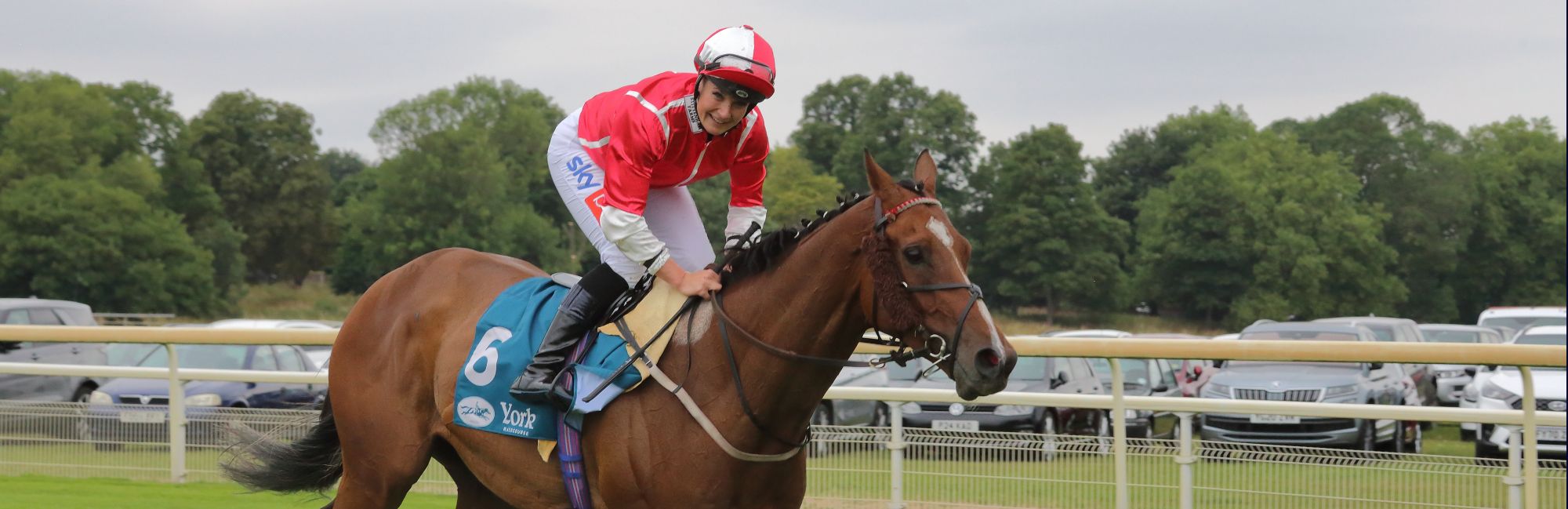 Mick & David Easterby - Racing Syndicates and Racehorse Ownership