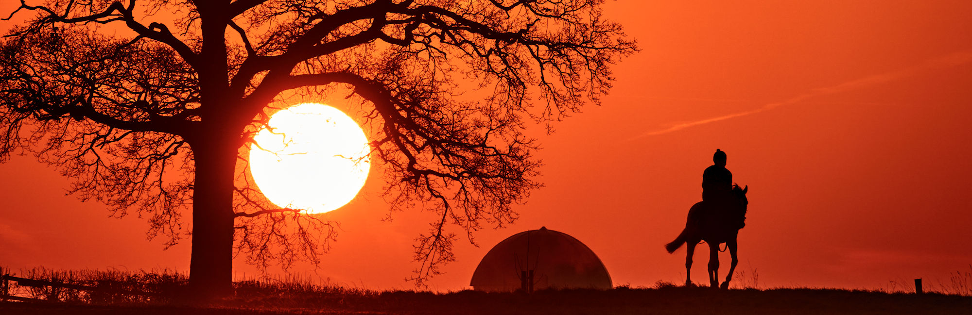 Mick & David Easterby - Racing Syndicates and Racehorse Ownership