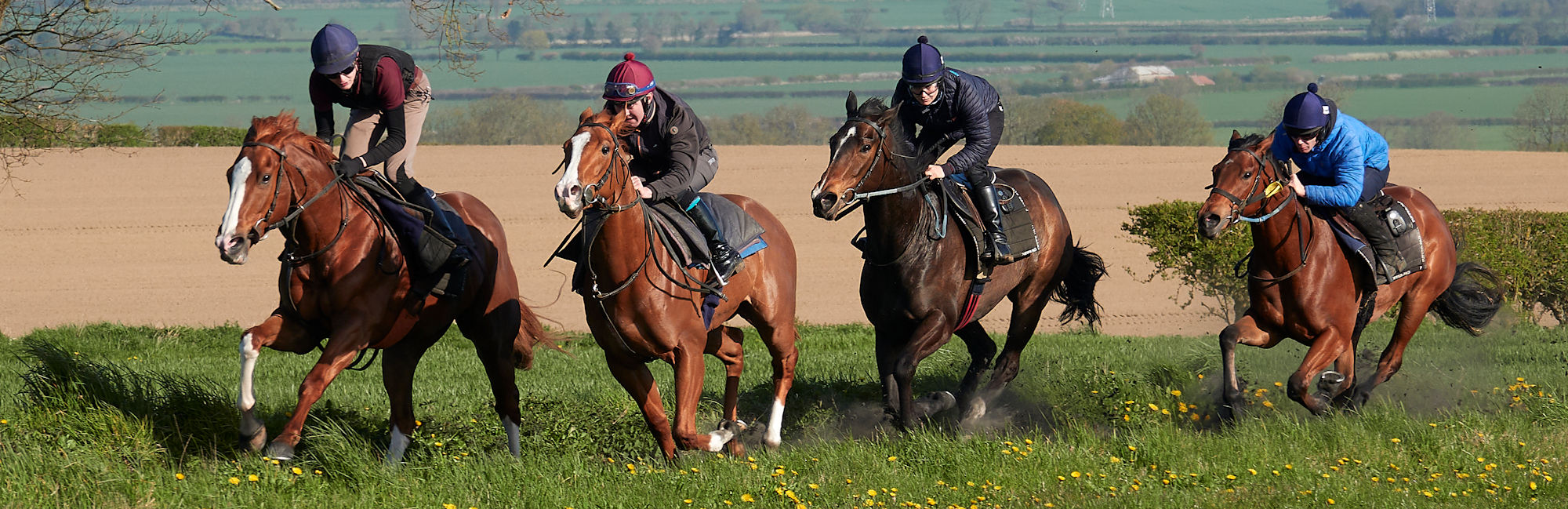 Mick & David Easterby - Racing Syndicates and Racehorse Ownership